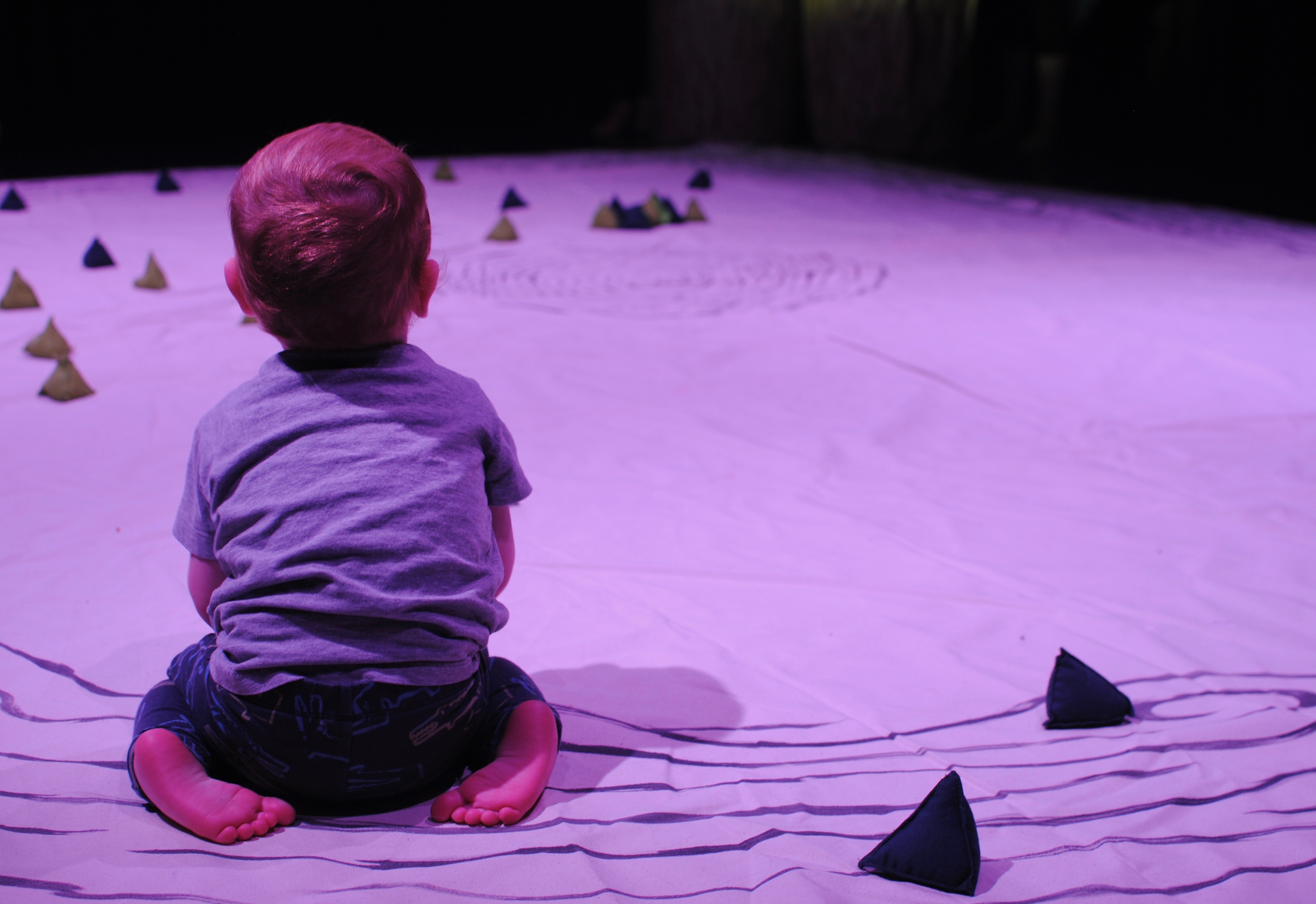 Meet Me A Tree | Z-arts | Children's Shows