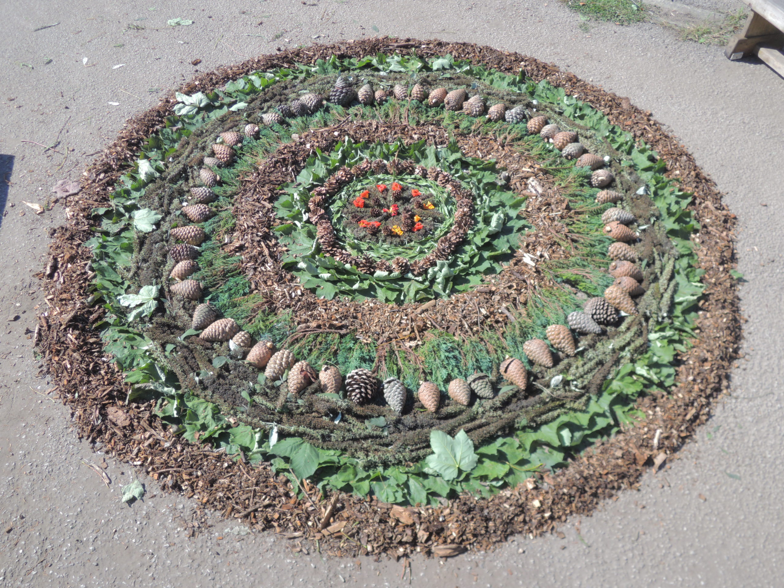 Making with Nature - Z-arts